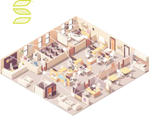 Syncromesh - Cognian